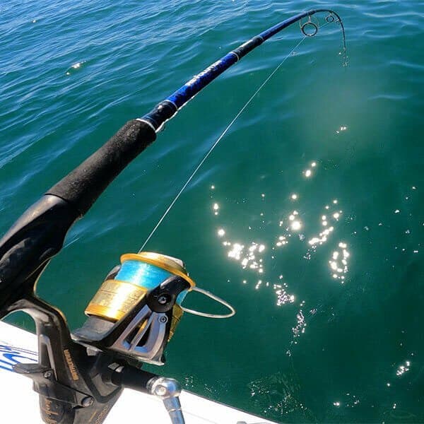 Fishing Rod Shimano Combo – Buyer’s Guide | Reedys Rigs